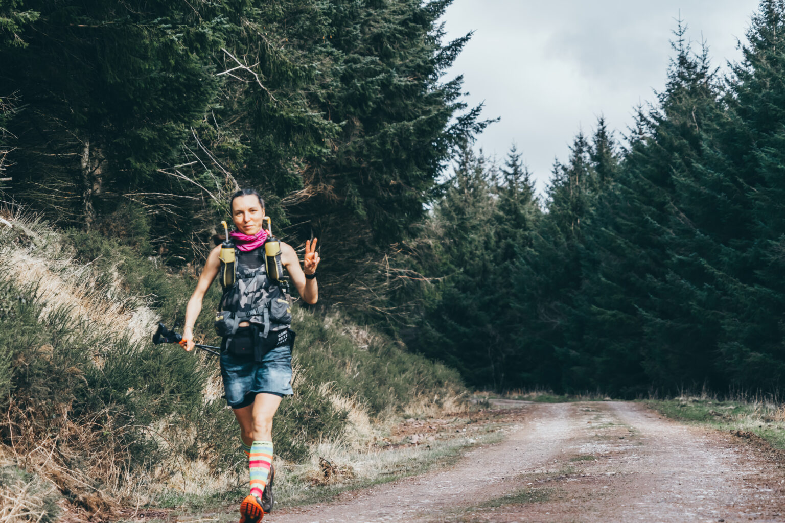 HEADQUARTERS – Wild Horse 200